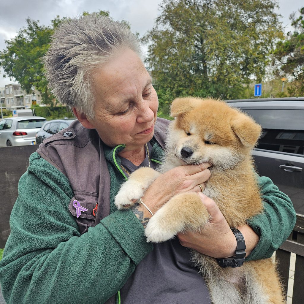 Yama - Kennel Hadjime - Yoshi met ( American ) Akita's en de Thai ...